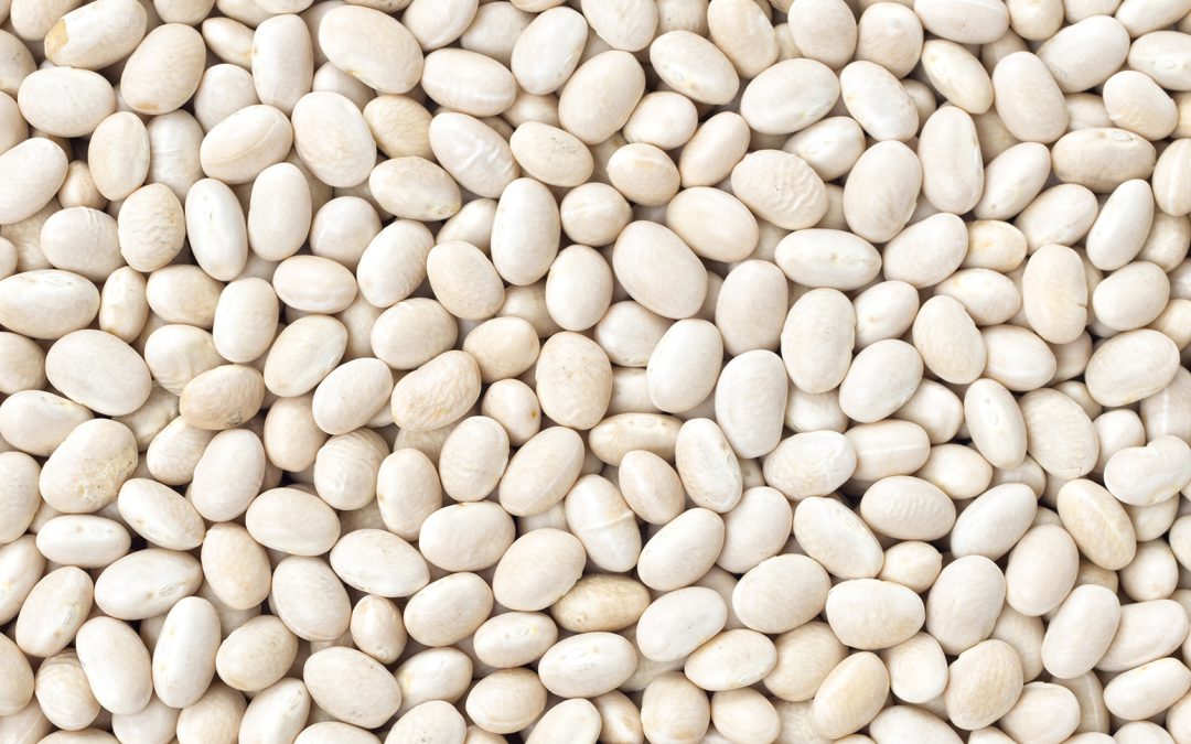 Haricot Beans 1Kg – simplywholefoodsnz